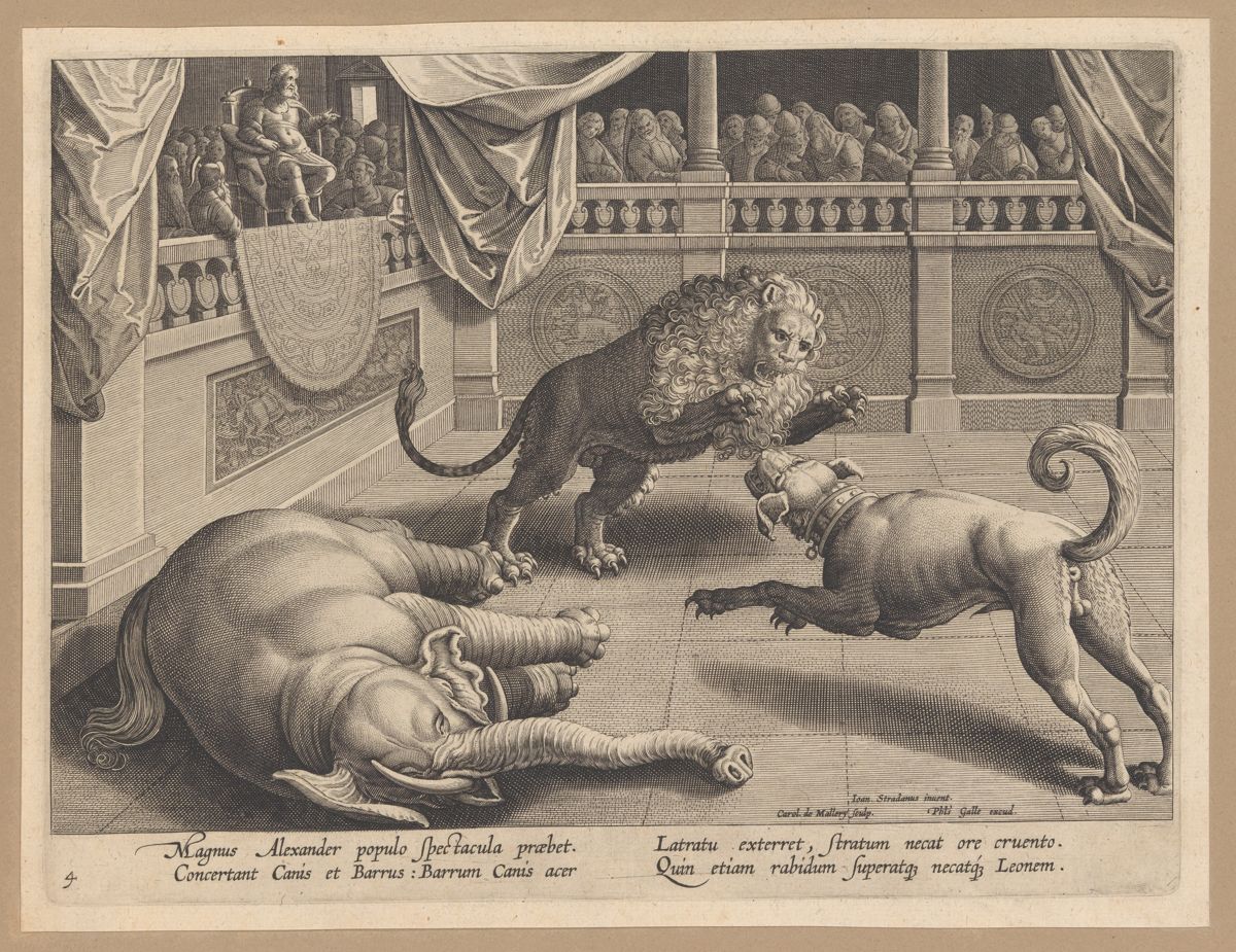 An Introduction to the FOI Appeal Process – FOI Assist Knowledge Base